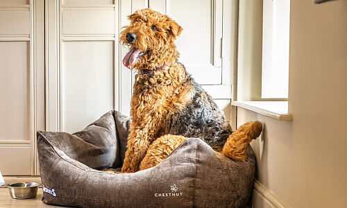 Review of York Minster Refectory, York, North Yorkshire | The Good Food ...